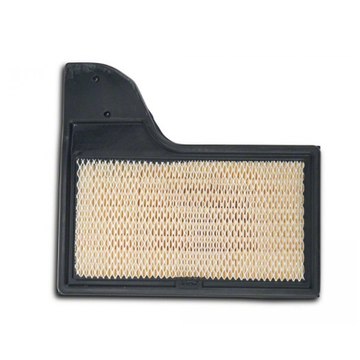 Mustang GT Air Filter 2015-2022 | THE MANCAVE GARAGE