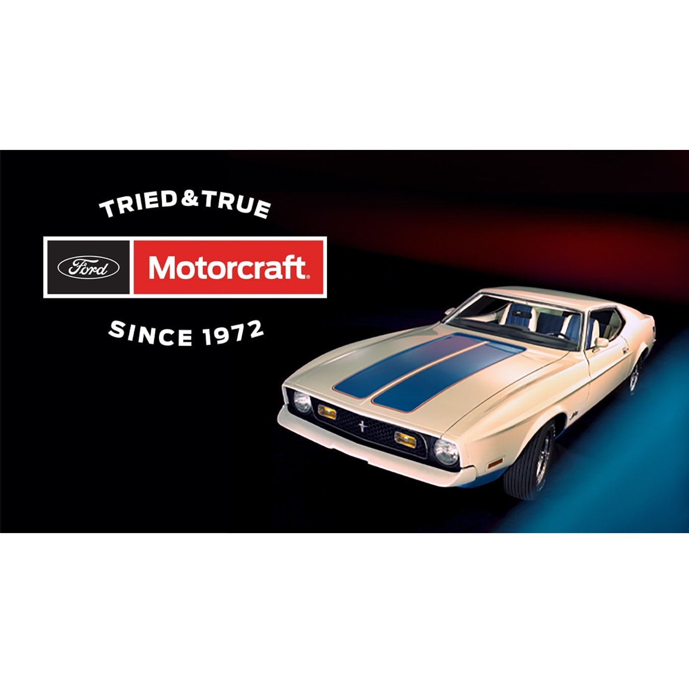 Motorcraft SAE 75W-85 Mustang Axle Premium Synthetic Hypoid Gear Oil ...